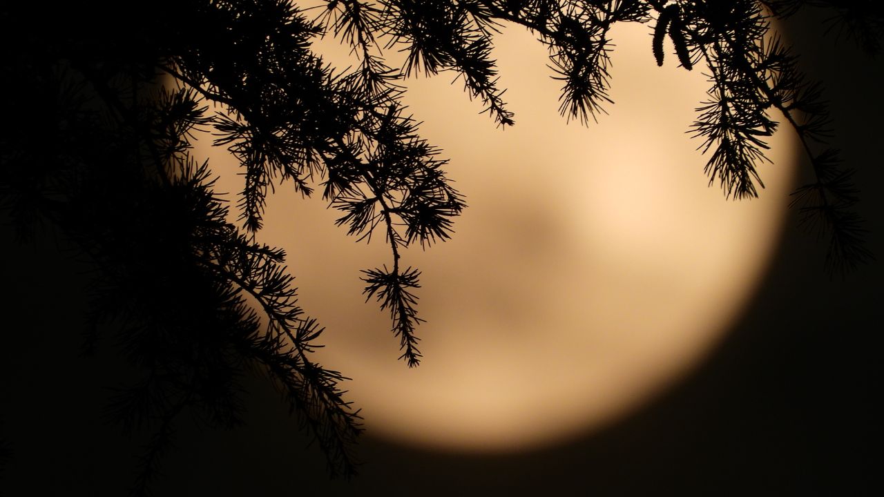 The Harvest Moon | Witchy Ways to Celebrate - Naturally Modern Witch